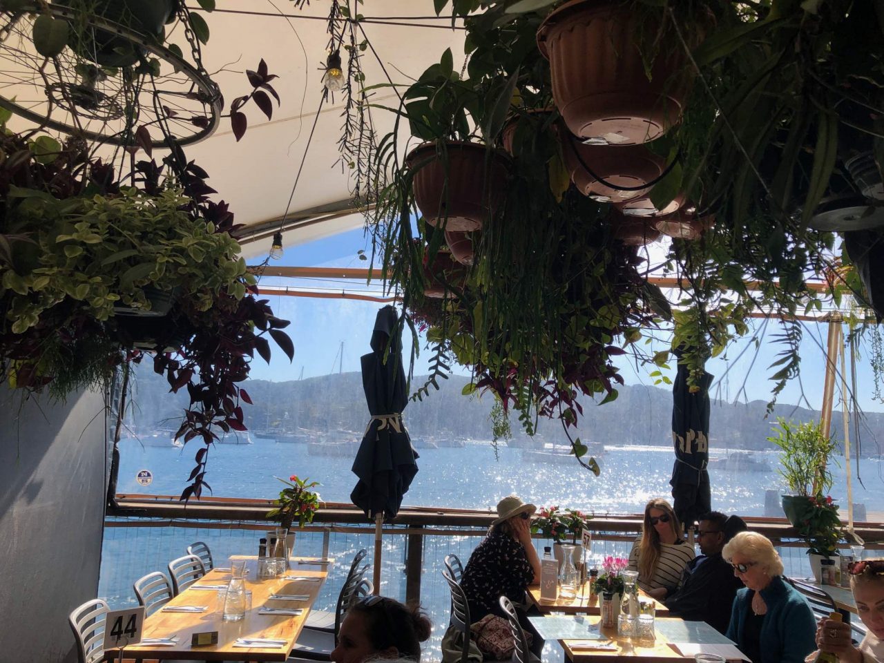 The Waterfront Cafe Church Point Review | Eyachts