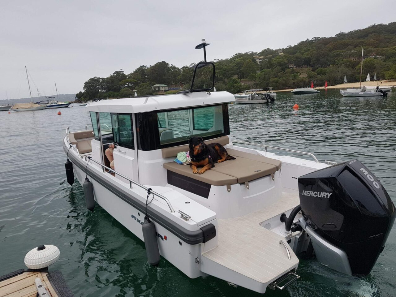 Eyachts - Leading European Day Boats & Motor Yachts | Aus & NZ